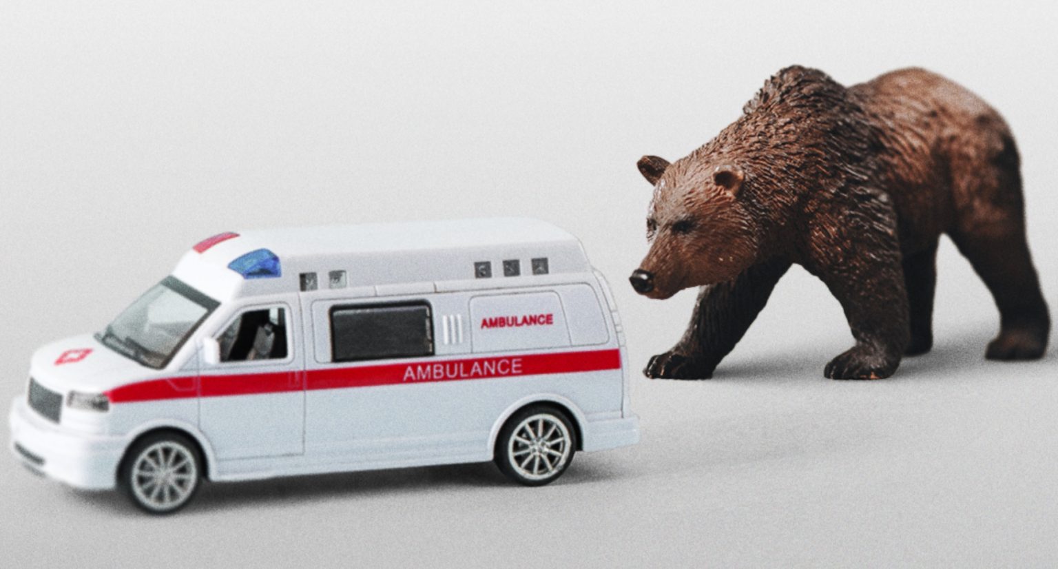 Review: Vegan Munch | Redbrick